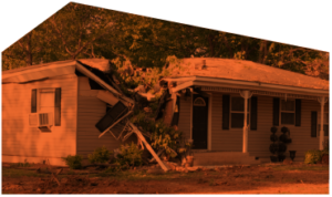 Revive Restoration, Inc. | 24/7 Fire, Water, Mold Remediation